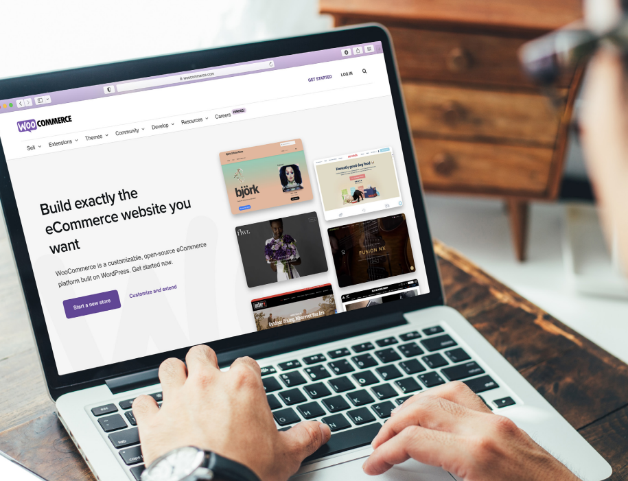Get Your Essential Guide To Wordpress And Woocommerce Today